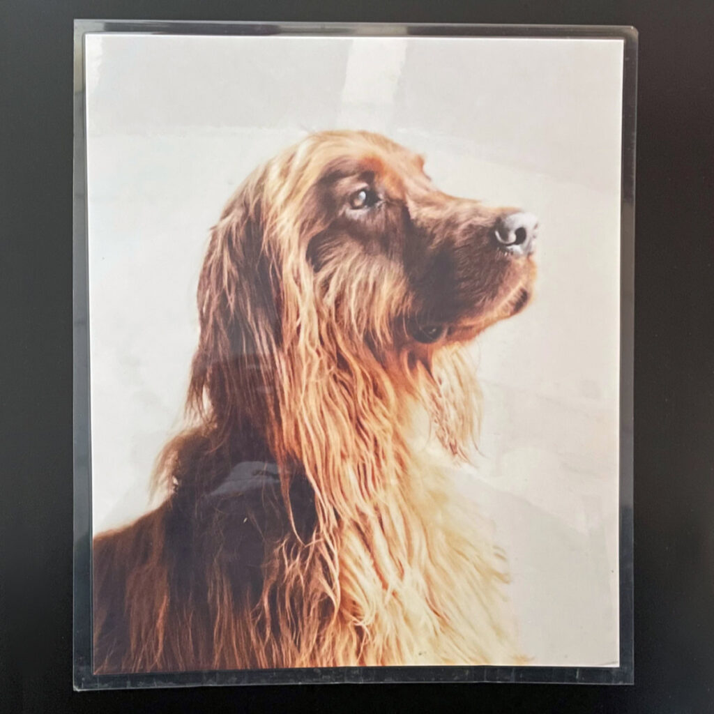 Additional Laminated Two Sided Picture for PhotoFloat